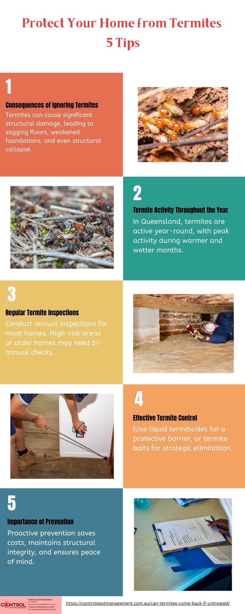 Can Termites Come Back If Untreated - Control Pest Management Pest Control