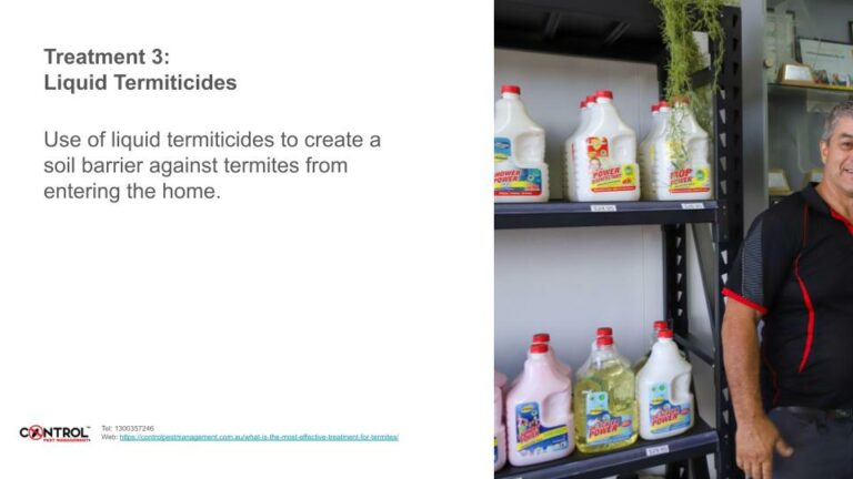 What Is The Most Effective Treatment For Termites?