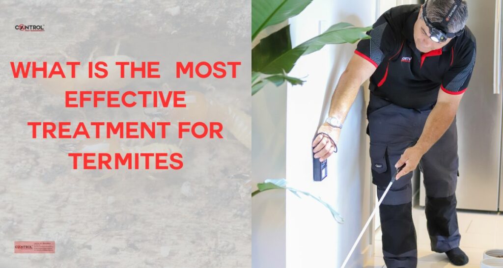 Termite and Pest Control Professionals | Gold Coast Brisbane Gladstone