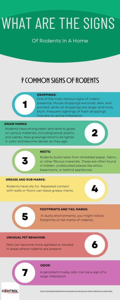 What Are The Signs Of Rodent Infestation On Gold Coast! - Control Pest ...