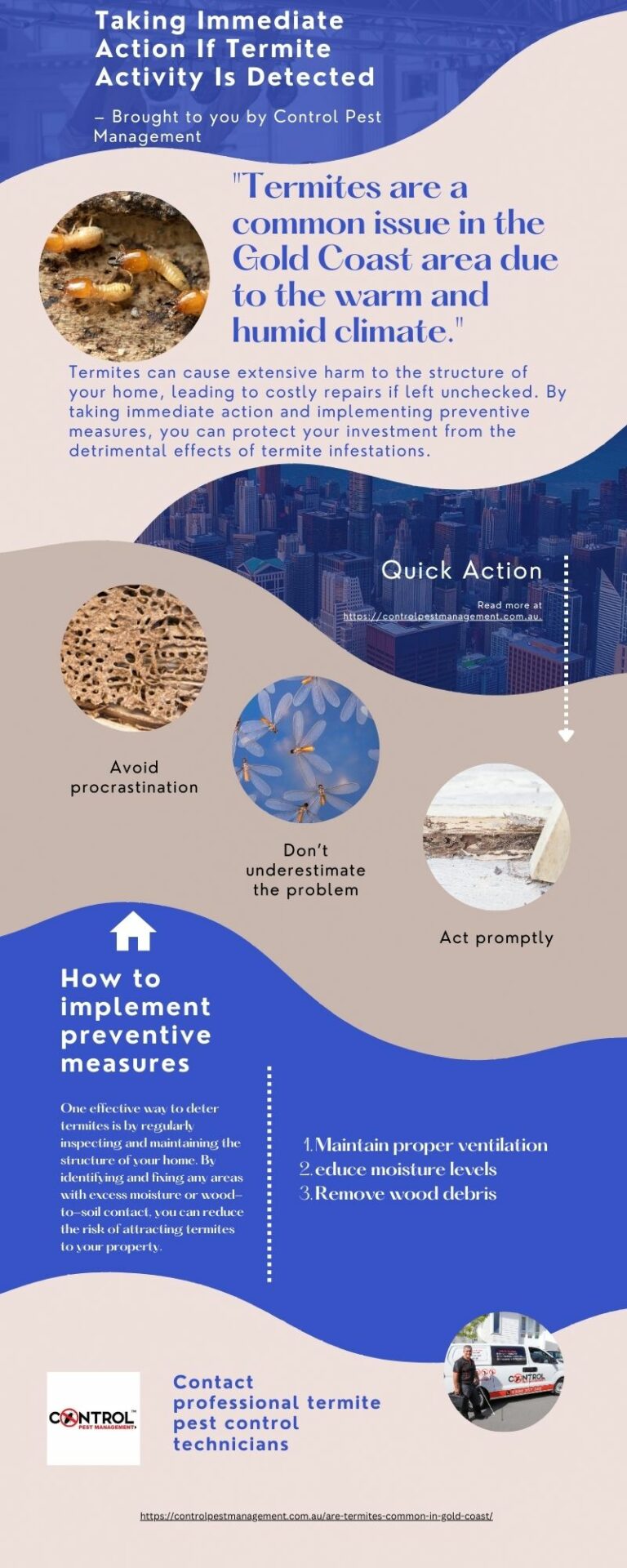 Are termites common on Gold Coast - Control Pest Management Pest Control